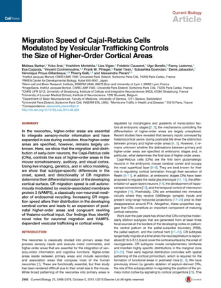 Migration-Speed-of-Cajal-Retzius-Cells-Modulated-b.pdf