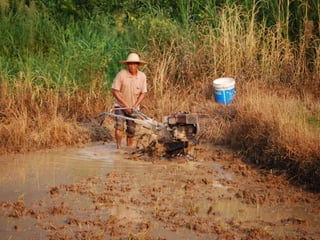 Migration, agrarian transition and water management in an era of ...