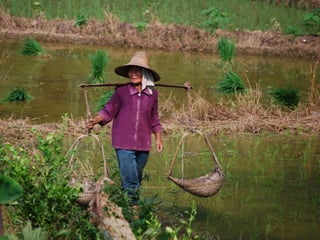 Migration, agrarian transition and water management in an era of ...