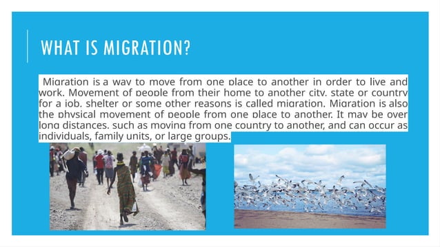 MIGRATION presentation for class VI - travel | PPT