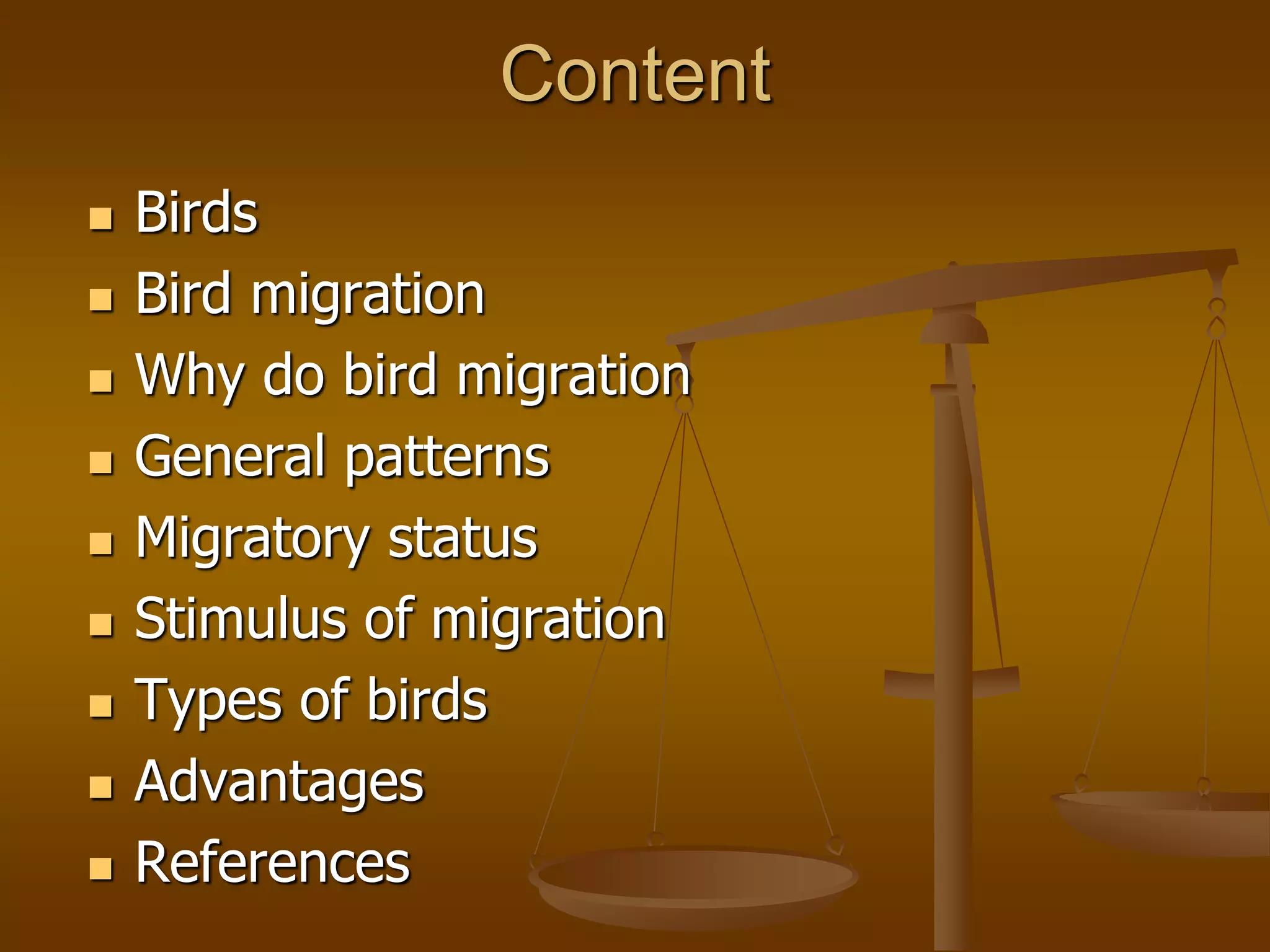 Migration birds | PPT