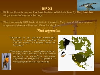 Migration birds ppt.ppt
