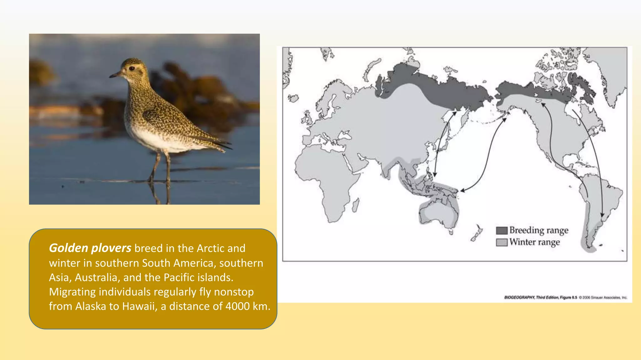 Migration, dispersal | PPTX