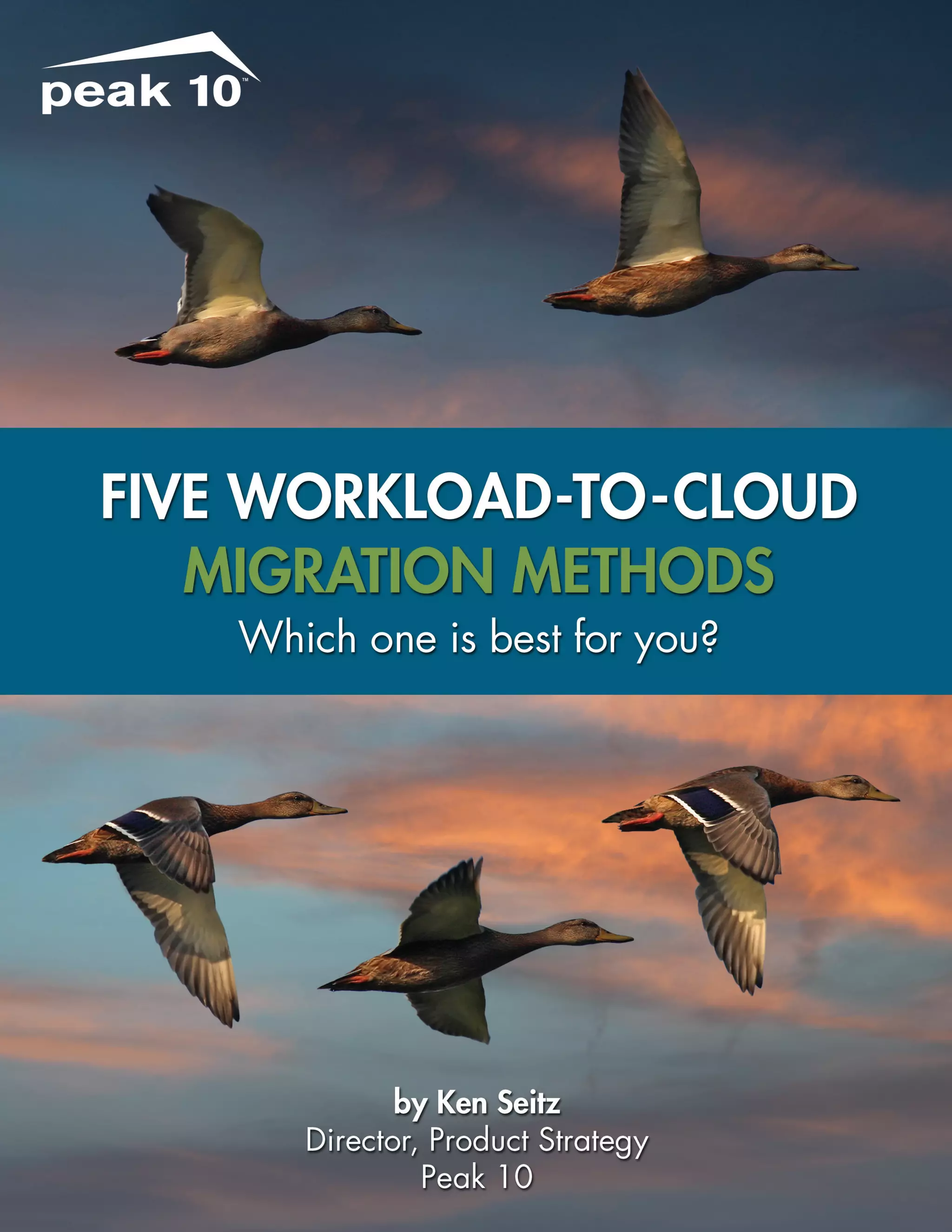 Five Workload-to-Cloud Migration Methods | PDF