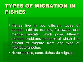 Migration in fishes | PPT