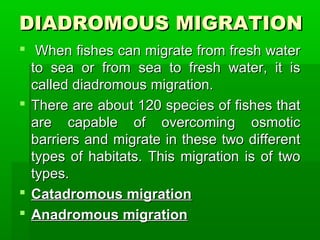 Migration in fishes | PPT