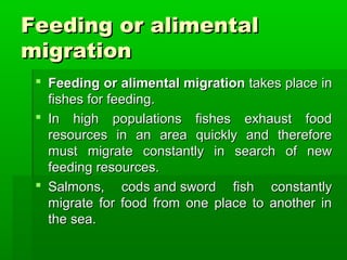 Migration in fishes | PPT
