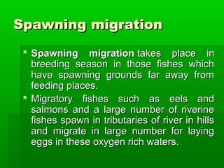Migration in fishes | PPT