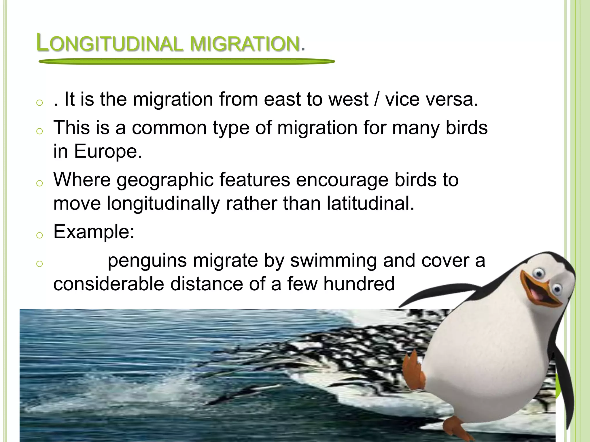 Migration in birds | PPTX
