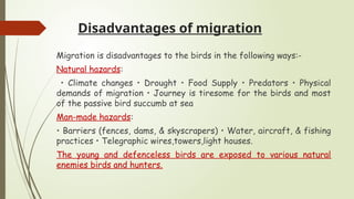MIGRATION IN BIRDS by Shraddha Gupta.pptx