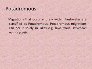 Migration in fishes | PPTX