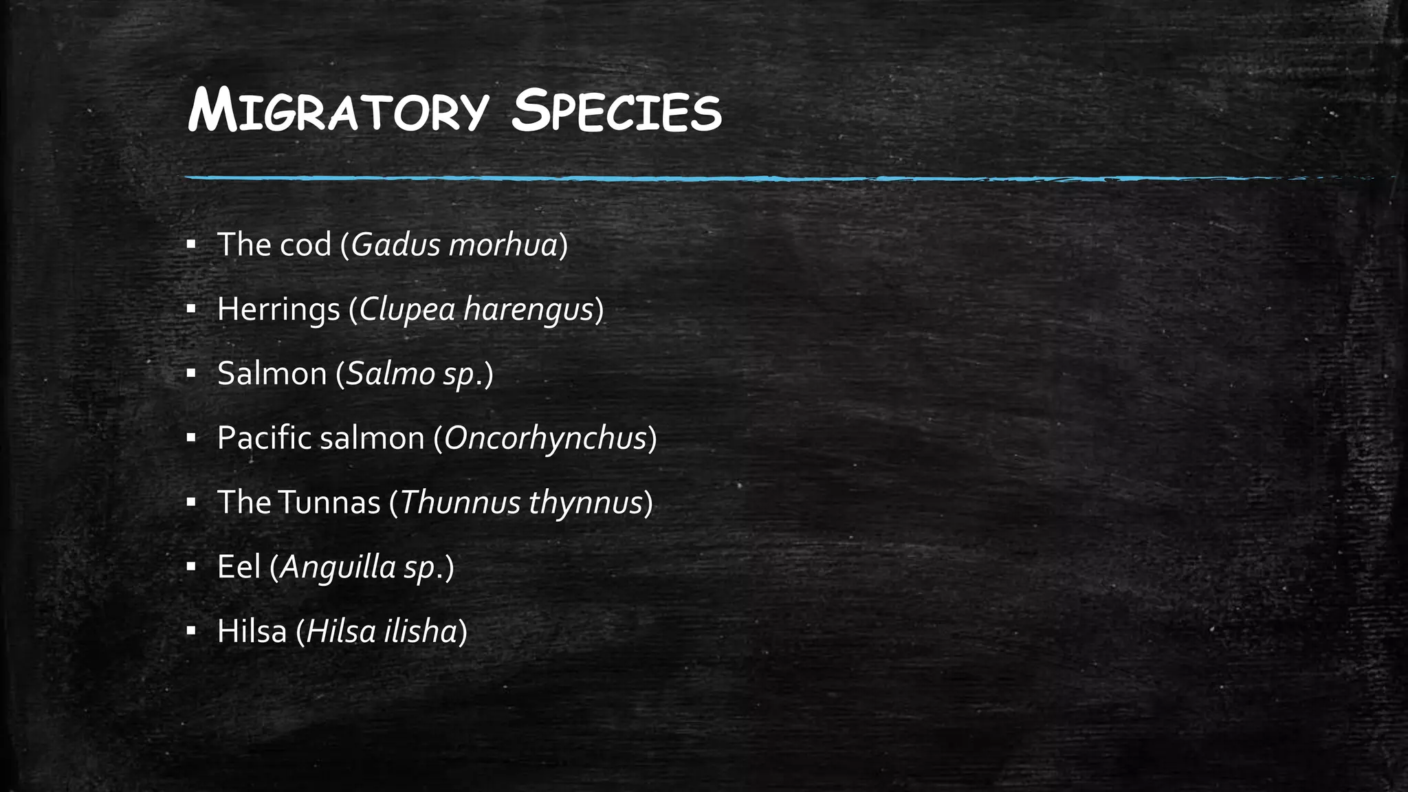 Migration in fishes | PPTX
