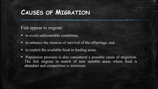 Migration in fishes | PPTX