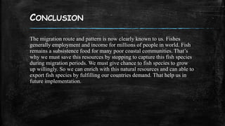 Migration in fishes | PPTX