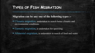 Migration in fishes | PPTX