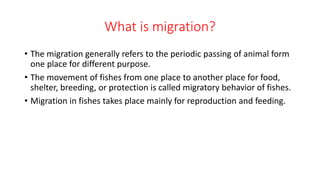 Migration in fishes/class11 biology | PPTX