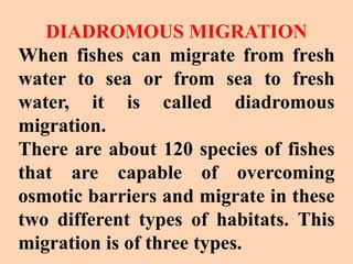 Migration in fishes | PPT