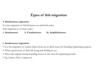 Migration of Fishes: Patterns and Survival | PDF