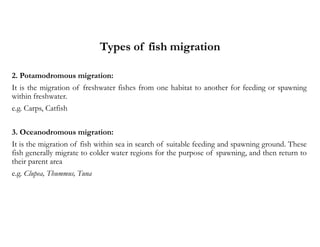 Migration of Fishes: Patterns and Survival | PDF