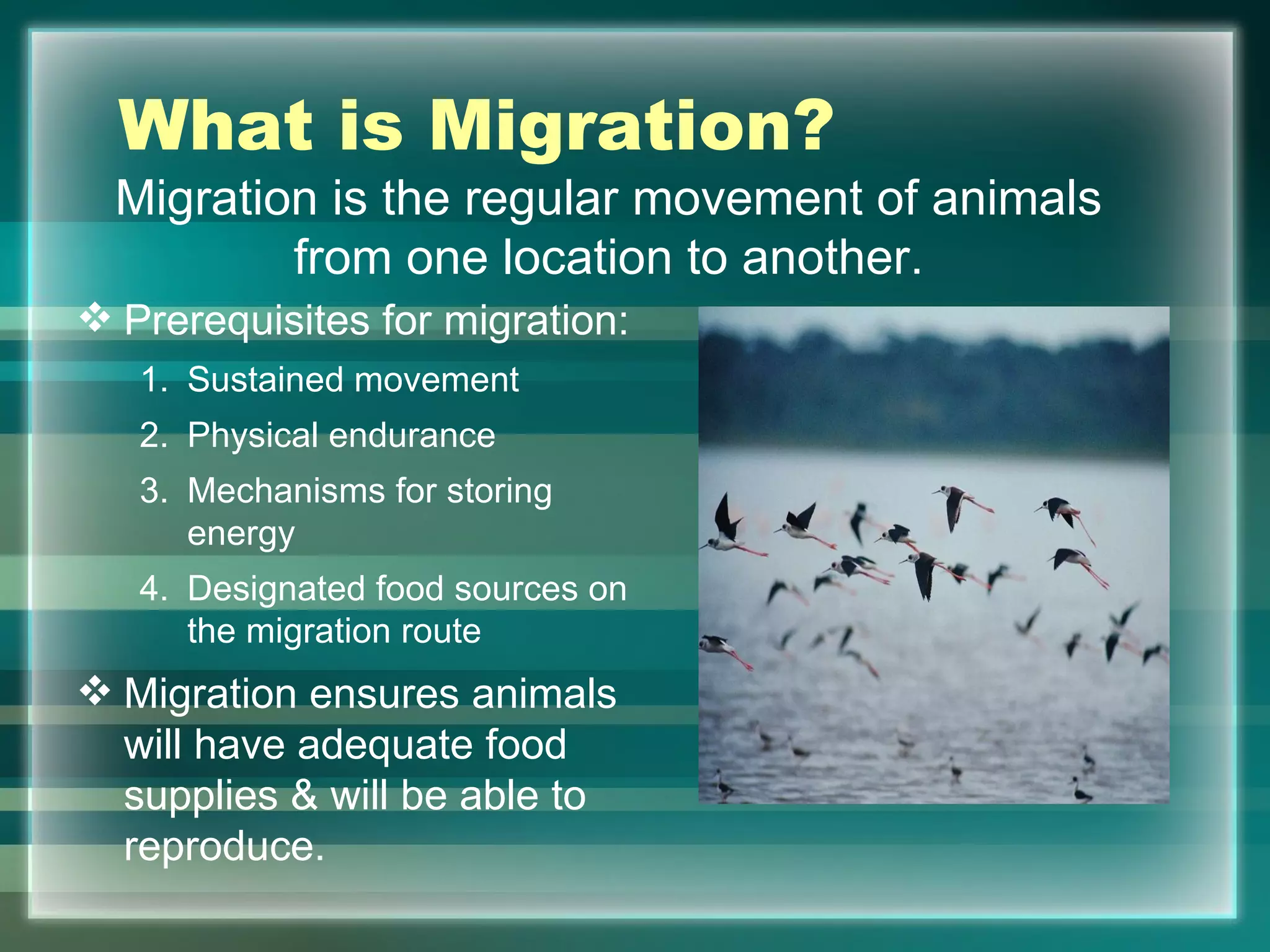 Migration introduction | PPT