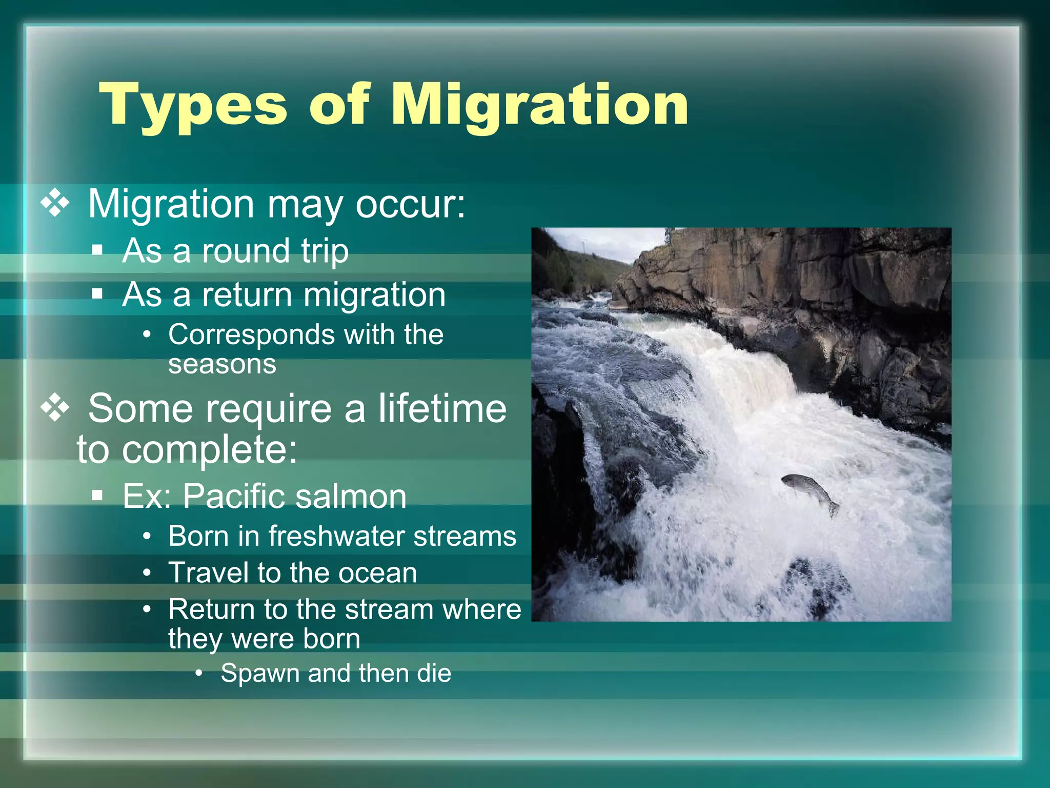 Migration introduction | PPT