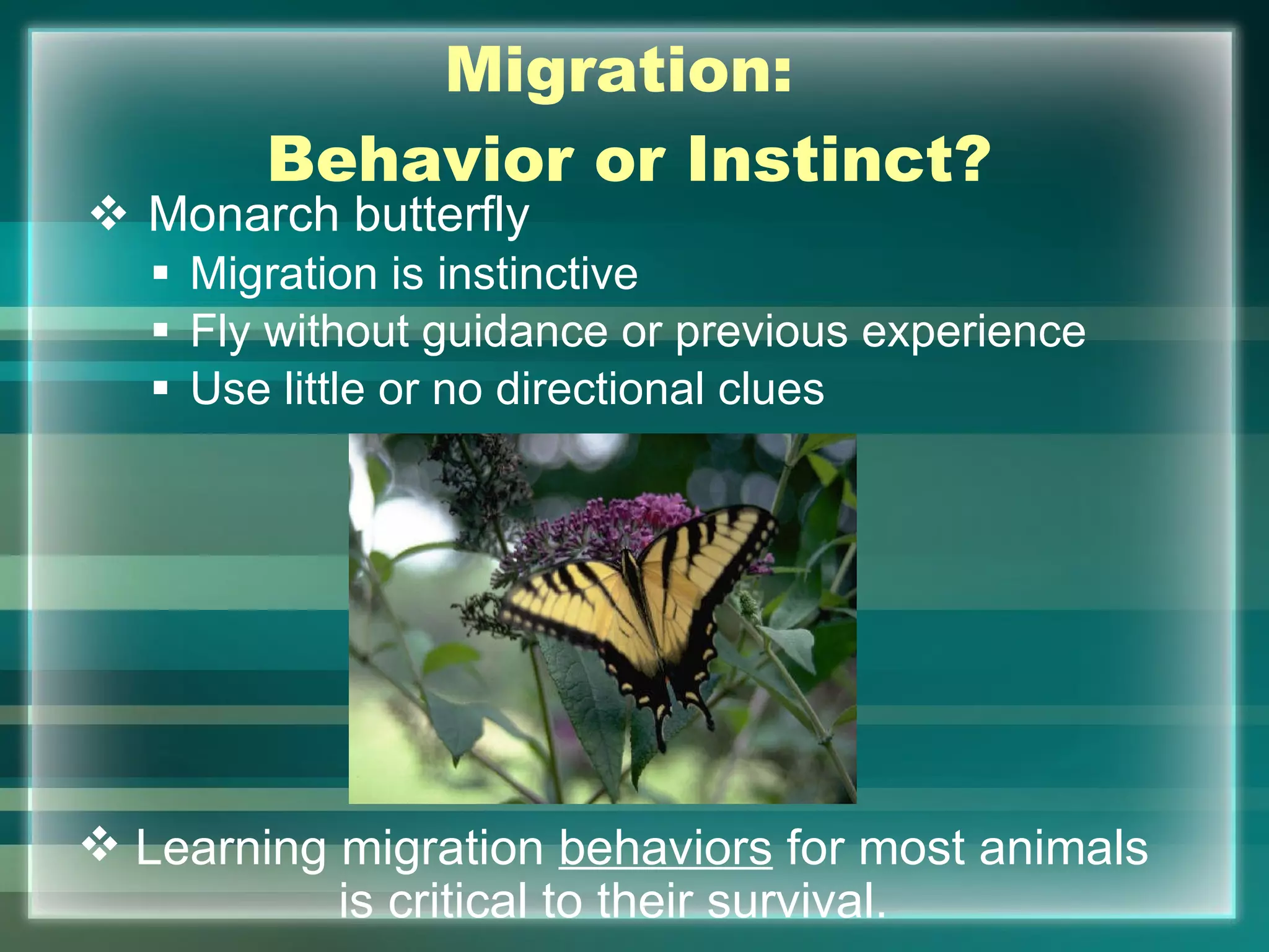 Migration introduction | PPT
