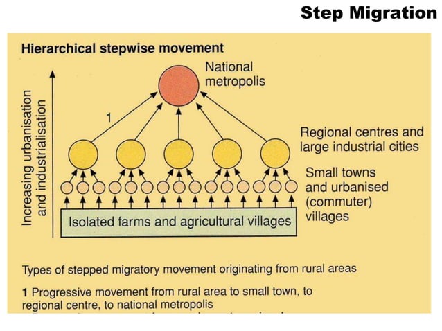 Migration models | PPTX | Physics | Science