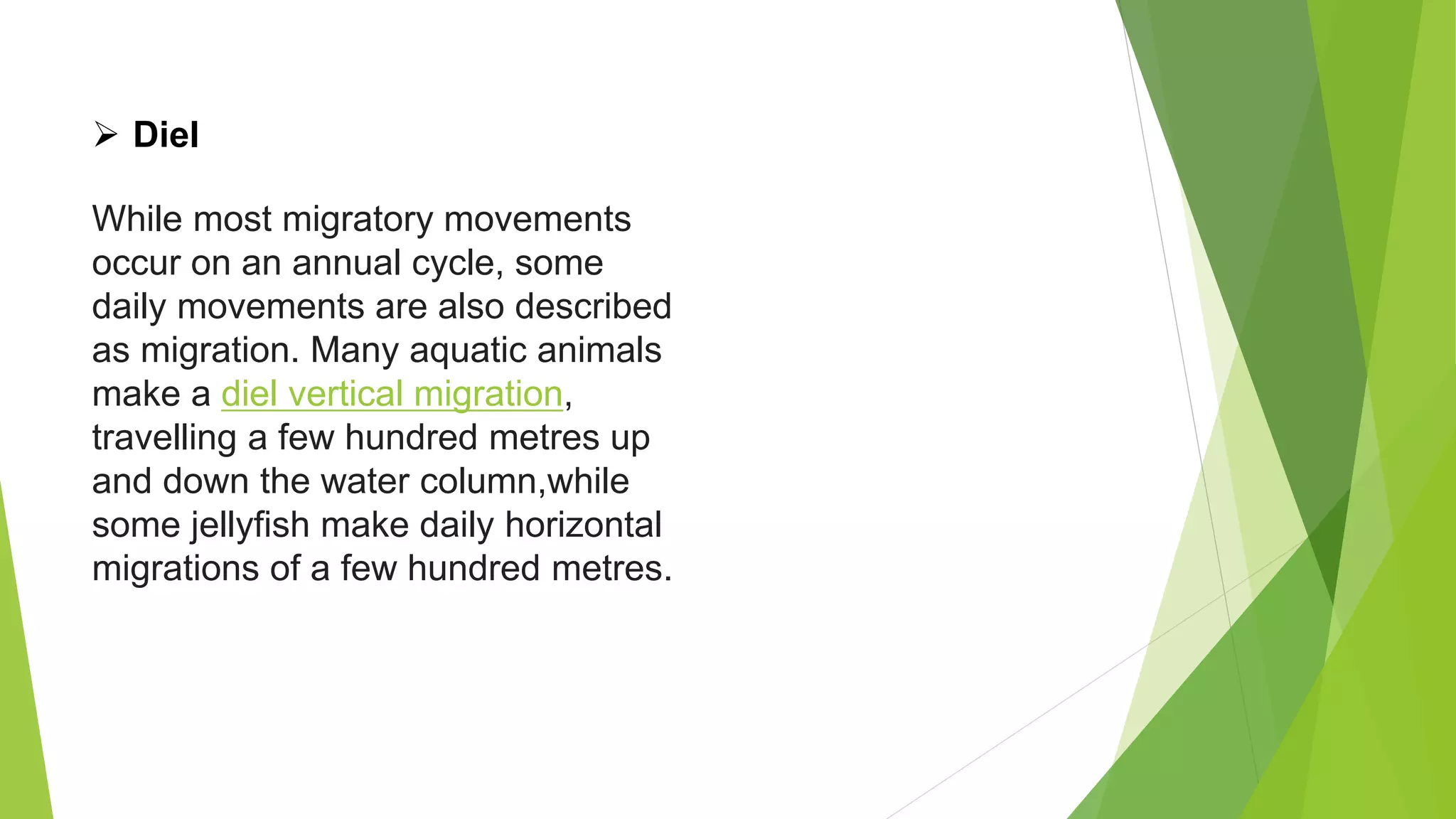 MIGRATION OF ANIMALS...pptx