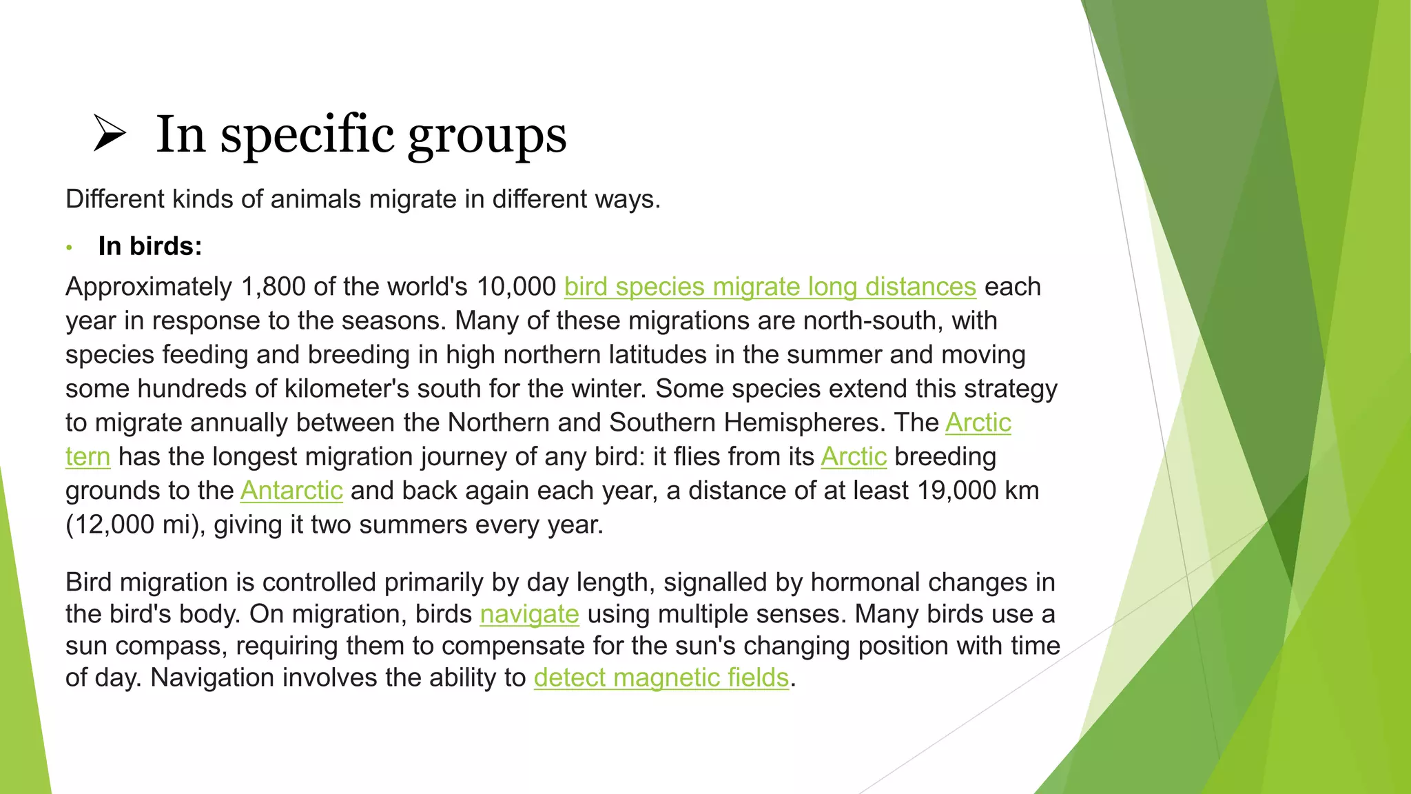 MIGRATION OF ANIMALS...pptx