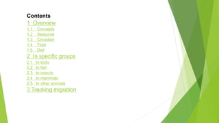 MIGRATION OF ANIMALS...pptx