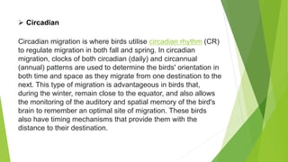 MIGRATION OF ANIMALS...pptx