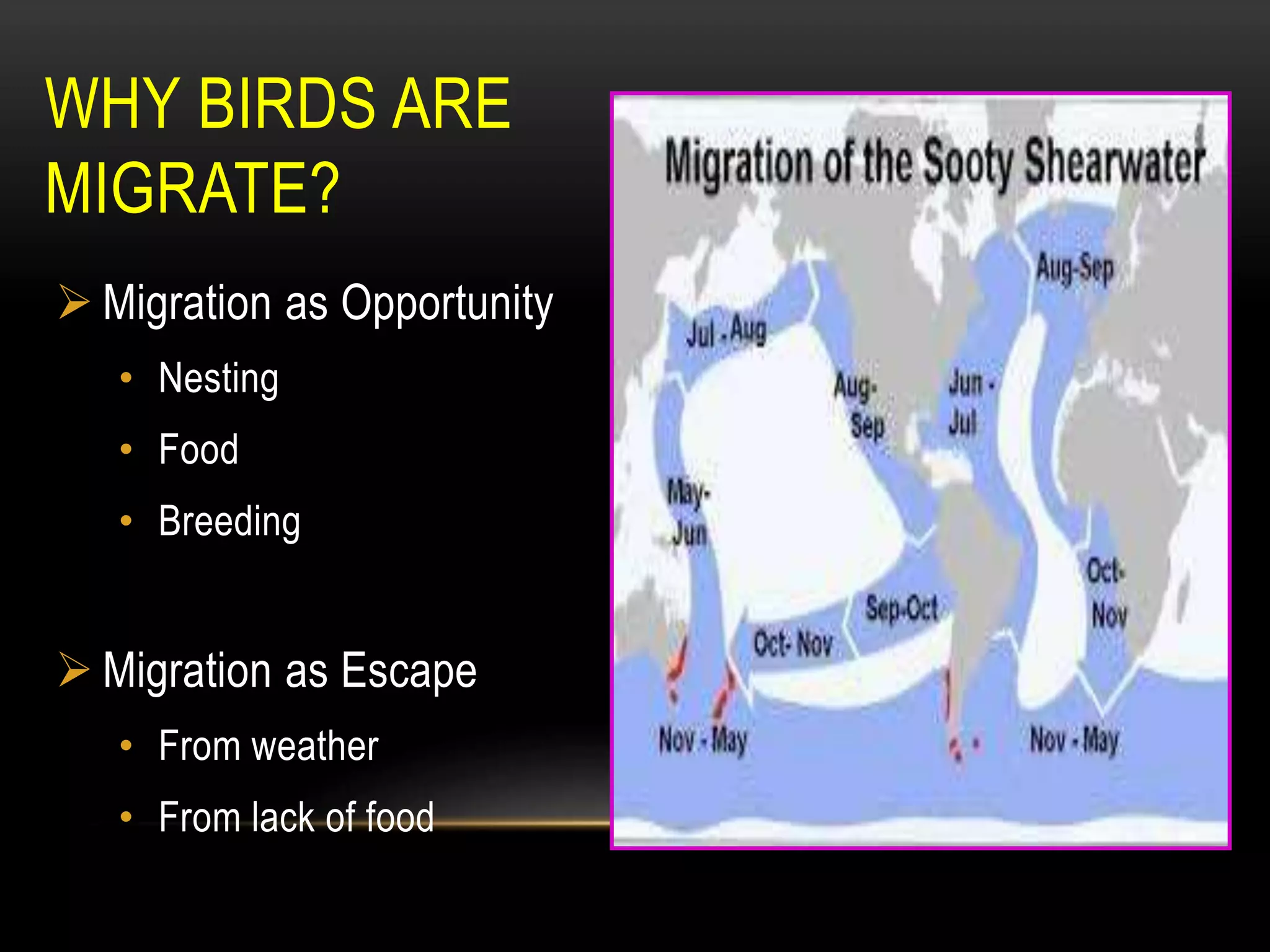 Migration of birds | PPT