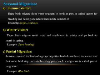 Migration of birds | PPT