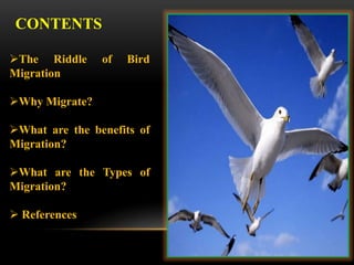 Migration of birds | PPT
