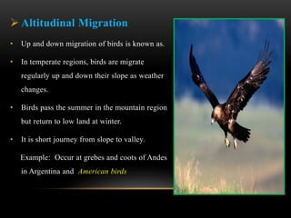 Migration of birds | PPT