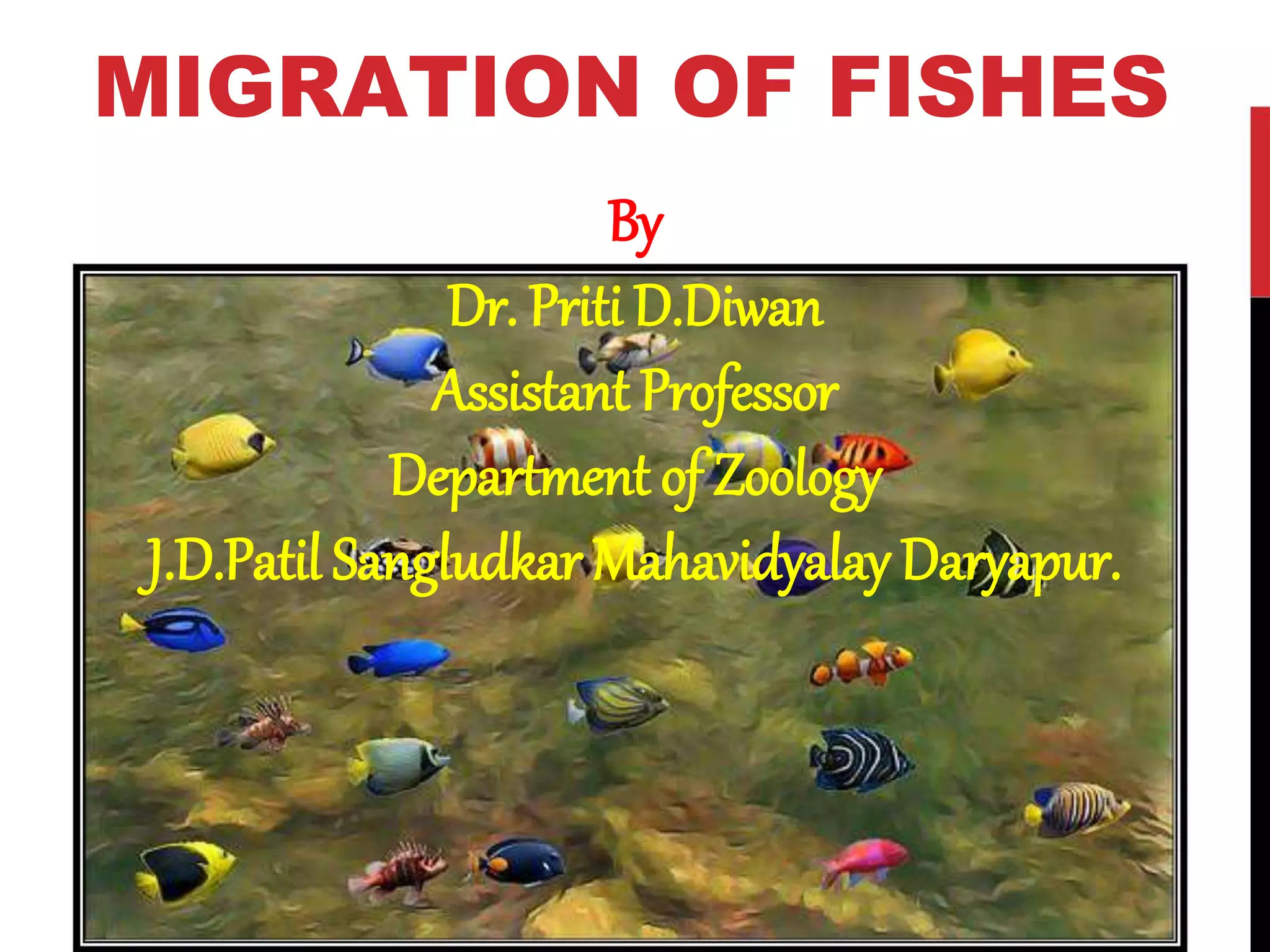 migration of Fishes | PPT | Fish and Aquariums | Pets