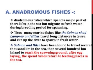 migration of Fishes | PPT