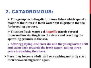 migration of Fishes | PPT