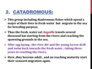 MIGRATION OF FISHES | PPTX