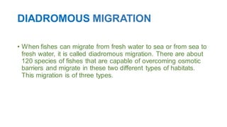 Migration of Fishes.pdf