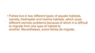 Migration of Fishes.pdf