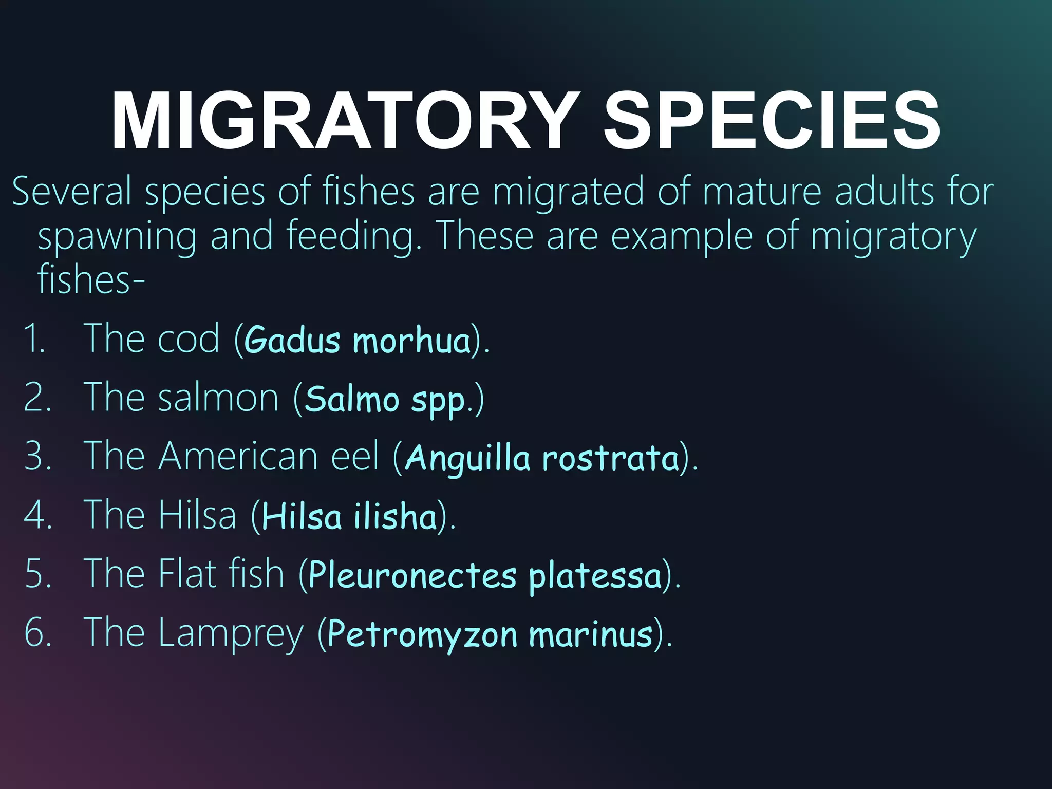 Migration of fishes ppt | PPTX