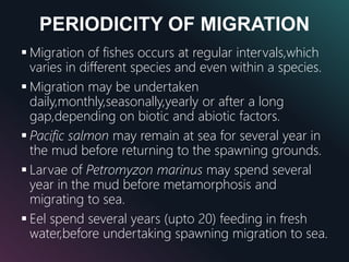 Migration of fishes ppt | PPTX