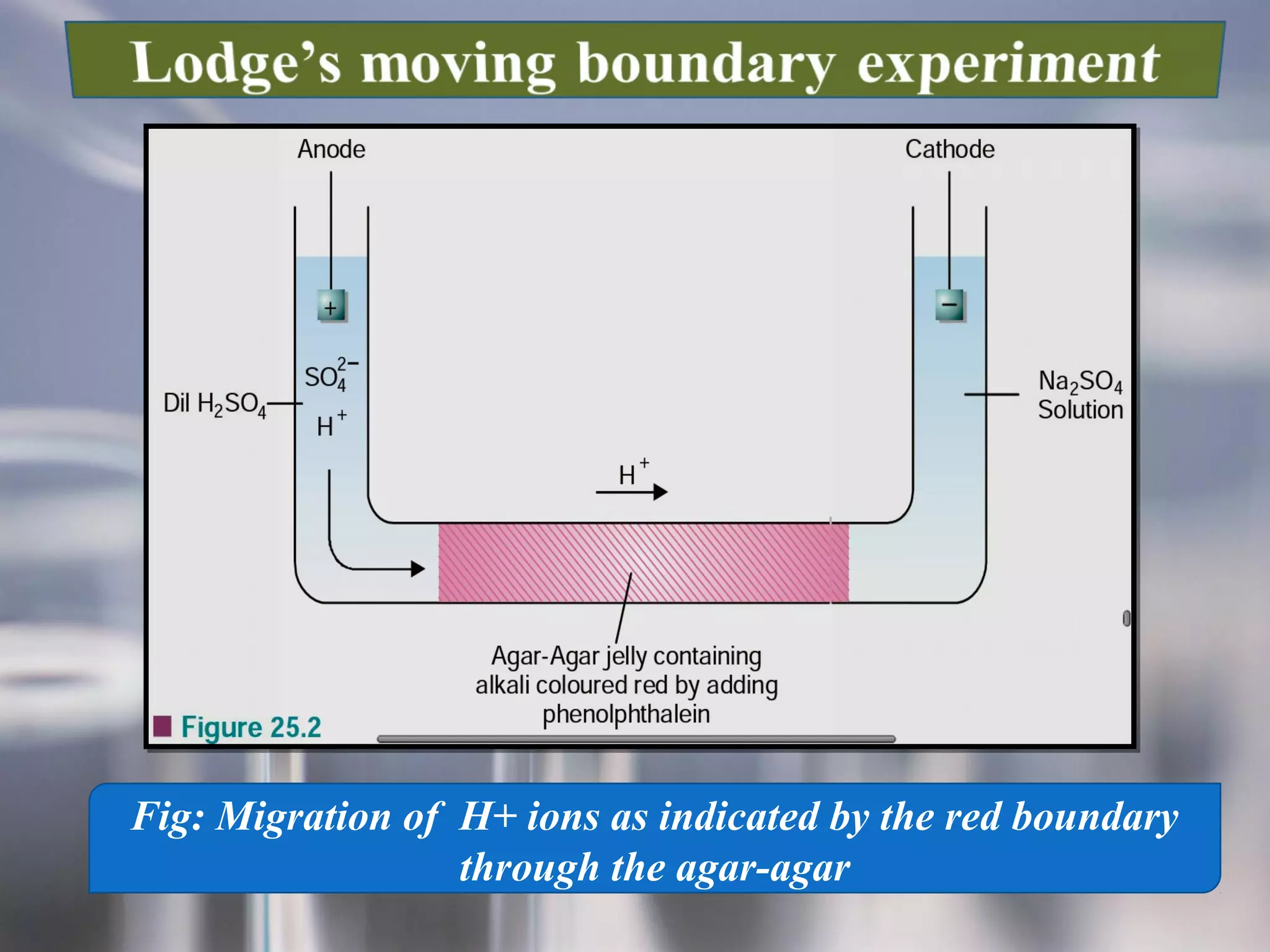 Migration of ions | PPT