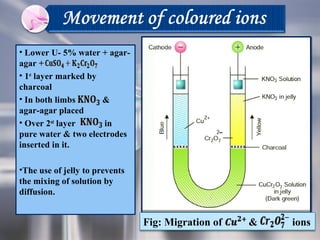Migration of ions | PPT