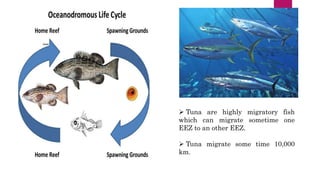 Migration of fishes and their importance of spawning migration | PPTX