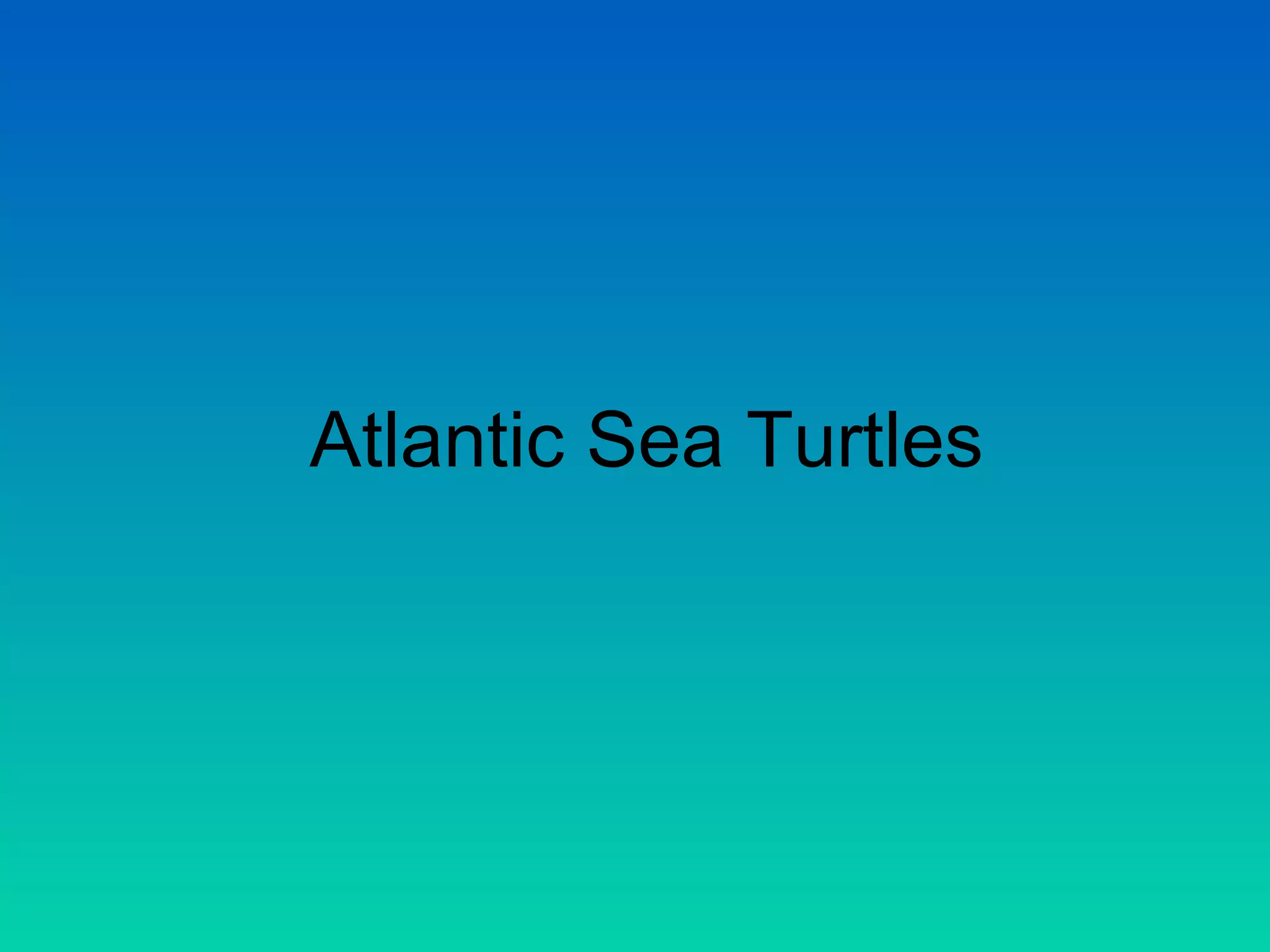 Migration Routes Of Atlantic Loggerhead Turtles | PPT