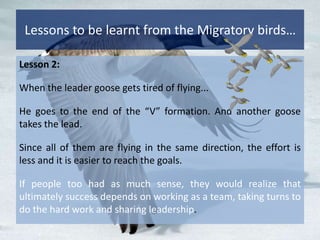 Migratory birds | PPSX