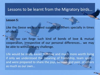 Migratory birds | PPSX