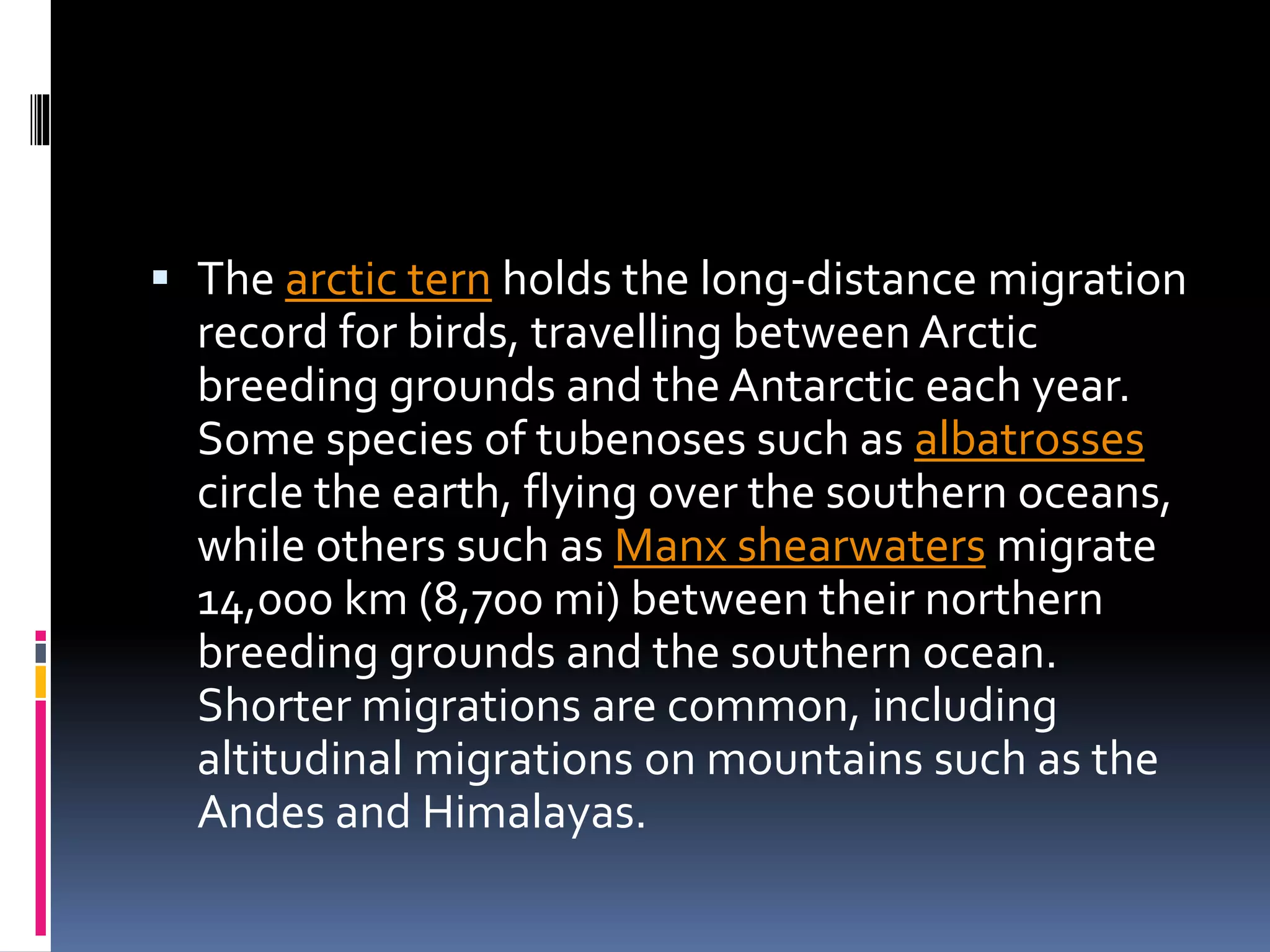 Migratory birds (1) | PPTX